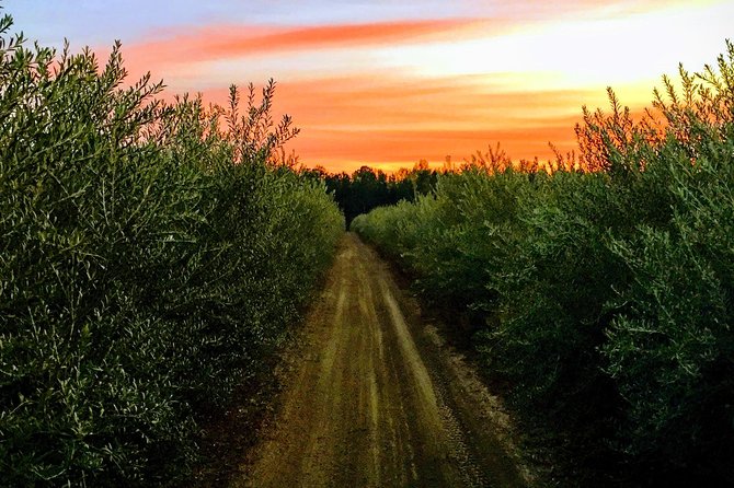 The Olive Grove Tour - FAQ