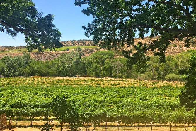 The Original 4 Winery Tour with Charcuterie - An Honest Look at the Experience