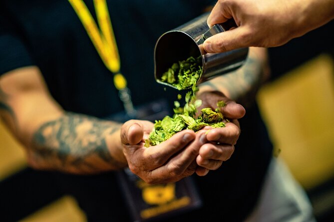 The Original Charlotte Brewery Tour - Craft Beer Experience - What Makes This Tour Stand Out?