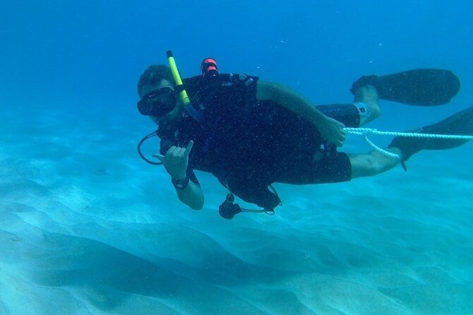 The Original Tiger Shark Challenge - Who Is This Tour Best For?