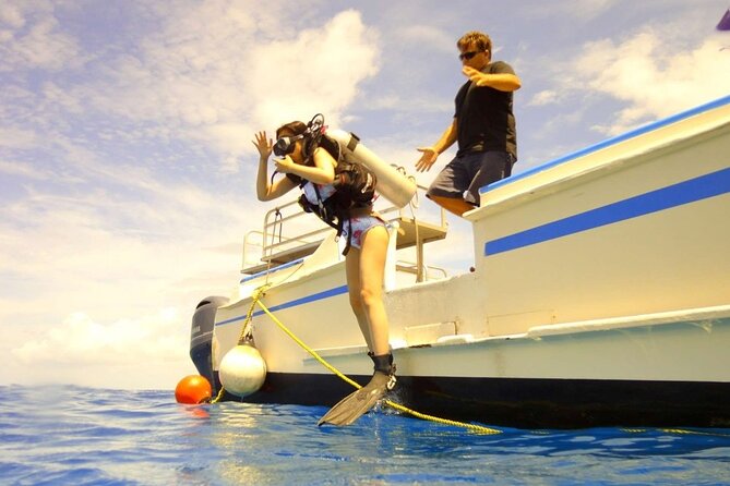 The Original Tiger Shark Challenge - FAQs