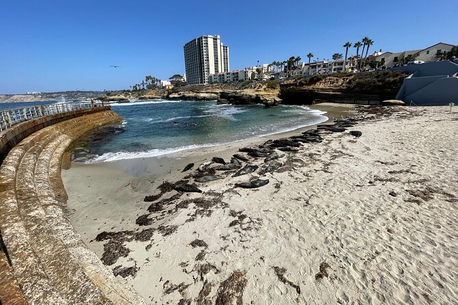 The Plunge E-Bike Tour in La Jolla - Who Will Love This Tour?