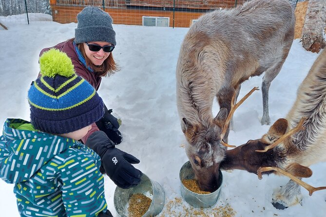 The Reindeer Grove Homestead Tour and Forage - Final Thoughts