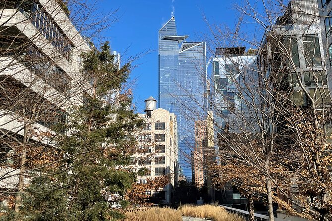 The Story of the High Line Elevated Park and Hudson Yards - Who Will Get the Most Out of This Experience?