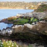 The Ultimate San Diego Tour - Authentic Perspectives from Past Travelers