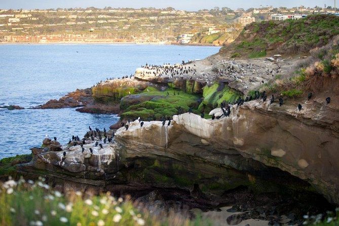 The Ultimate San Diego Tour - Authentic Perspectives from Past Travelers