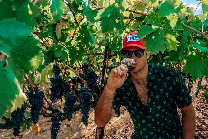 The Ultimate Wine Country Experience (Private & All-Inclusive) - Final Thoughts