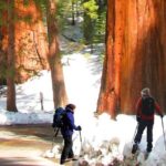 The Ultimate Yosemite and Lake Tahoe 5-Day Bucket List Experience - Why This Tour Works: The Balance of Comfort and Discovery