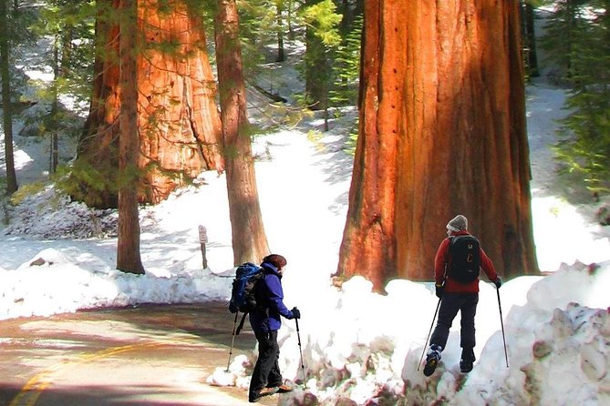 The Ultimate Yosemite and Lake Tahoe 5-Day Bucket List Experience - Why This Tour Works: The Balance of Comfort and Discovery