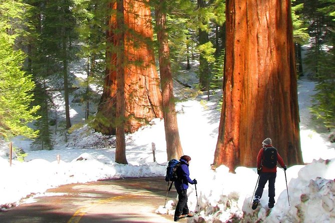 The Ultimate Yosemite National Park Full Experience- 5 Days Vacation Package - Breaking Down the Itinerary: What You Can Expect
