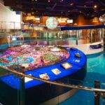 The Walt Disney Family Museum Admission Ticket in San Francisco - What Could Be Better?
