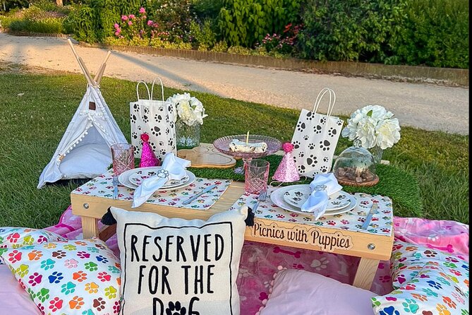 Themed Luxury Picnic - The Food and Drink