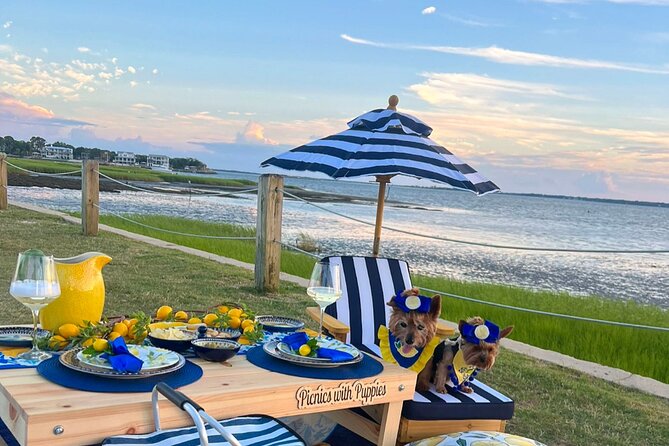 Themed Luxury Picnic - The Setting and Atmosphere