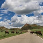 Theodore Roosevelt National Park Self-Guided Audio Tour - The Practical Side: What to Expect