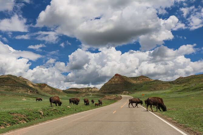 Theodore Roosevelt National Park Self-Guided Audio Tour - The Practical Side: What to Expect