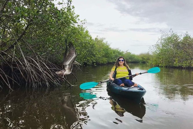 Thousand Island Mangrove Tunnel, Manatee & Dolphin Kayak Tour w/Cocoa Kayaking - Who Will Love This Tour?