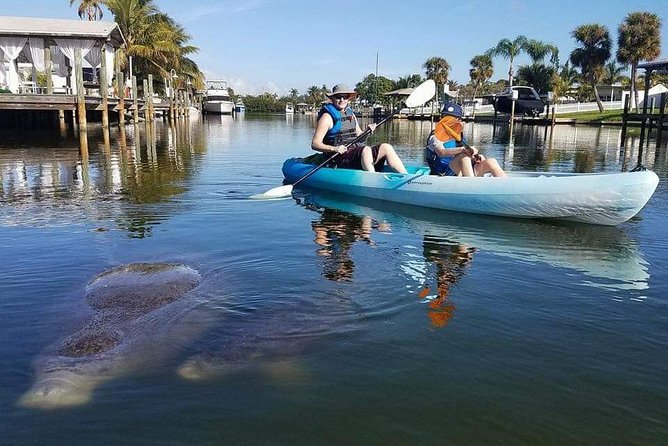 Thousand Island Mangrove Tunnel, Manatee & Dolphin Kayak Tour w/Cocoa Kayaking - The Bottom Line