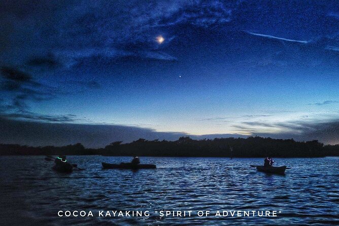 Thousand Islands Bioluminescent Kayak Tour with Cocoa Kayaking! - Analyzing the Value