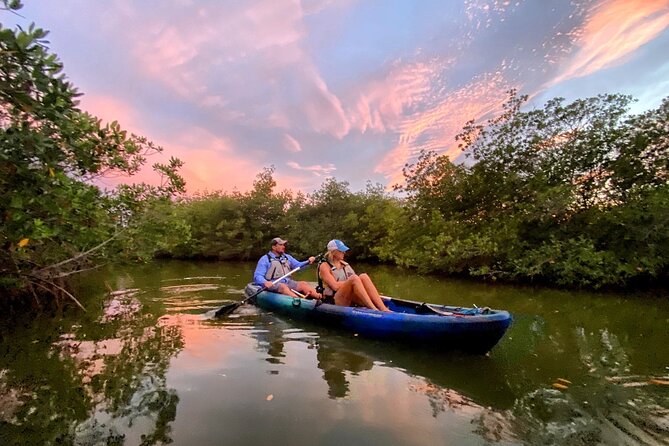 Thousand Islands Mangrove Tunnel & Bio Comb Jelly Sunset Tour - Who Will Love This Tour?