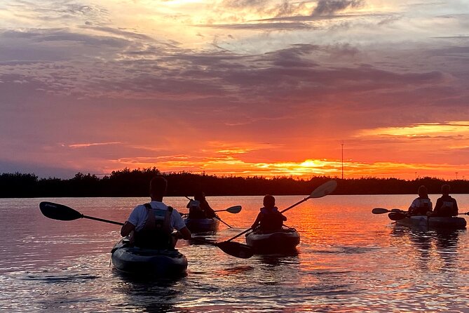 Thousand Islands Mangrove Tunnel & Bio Comb Jelly Sunset Tour - Final Thoughts