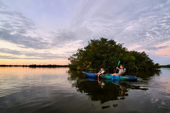 Thousand Islands Mangrove Tunnel Sunset Kayak Tour with Cocoa Kayaking! - The Experience in Detail