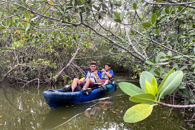 Thousand Islands Mangrove Tunnel Sunset Kayak Tour with Cocoa Kayaking! - Final Thoughts