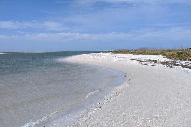 Three Hour Shelling Cruise to Shell Key Preserve from John's Pass - Who Will Love This Tour?