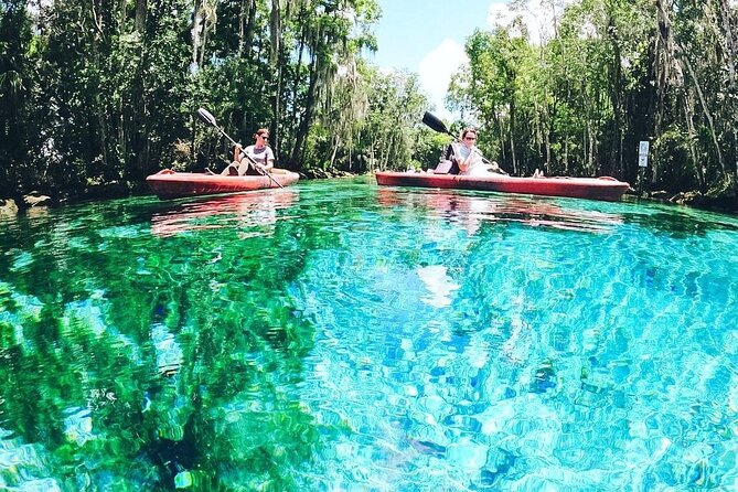 Three Sisters Springs Kayak And Swim Eco-Tour Crystal River - What Makes This Tour Special?
