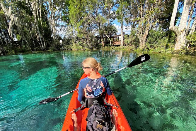 Three Sisters Springs Kayak And Swim Eco-Tour Crystal River - The Itinerary: What to Expect During Your Trip