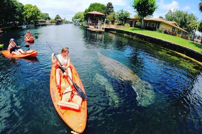 Three Sisters Springs Kayak And Swim Eco-Tour Crystal River - Practical Tips for Your Trip