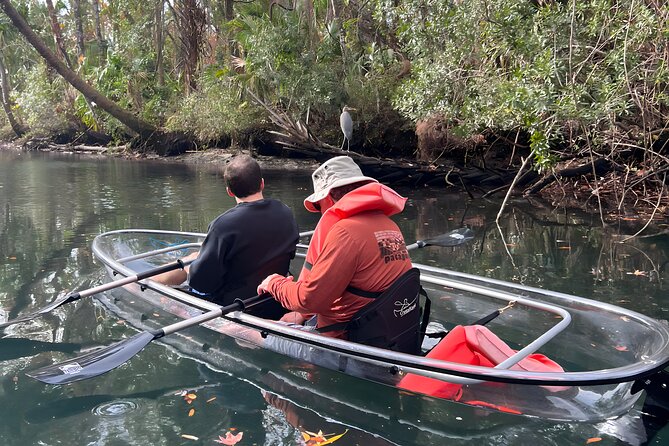 Three Sisters Sunset and Glow Clear Kayak & Wildlife Tour - Who Will Love This Tour?