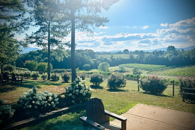 Three Vineyards Half Day Private Wine Tour From Asheville - A Closer Look at the Three Vineyards Half Day Private Wine Tour From Asheville