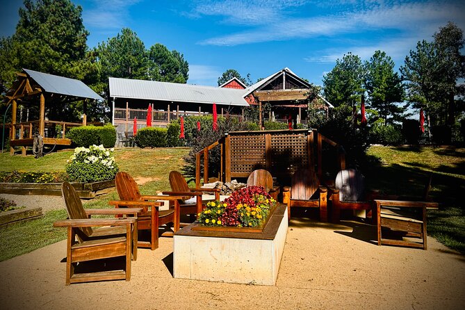 Three Vineyards Half Day Private Wine Tour From Asheville - An Authentic Taste of North Carolina’s Vineyards