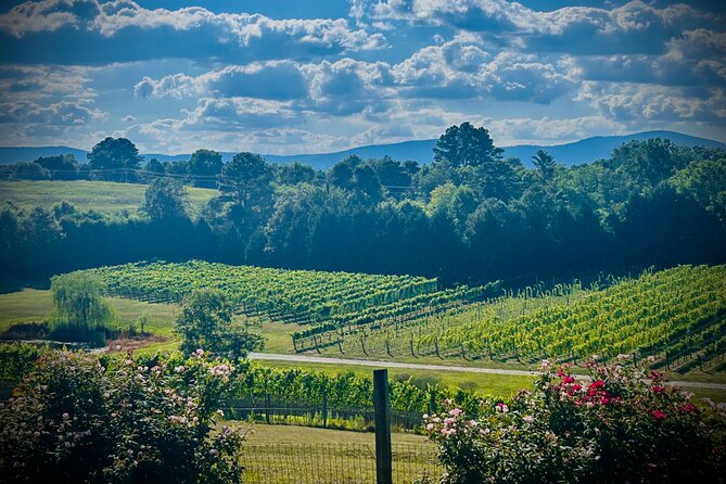 Three Vineyards Half Day Private Wine Tour From Asheville - Why This Tour Offers Great Value