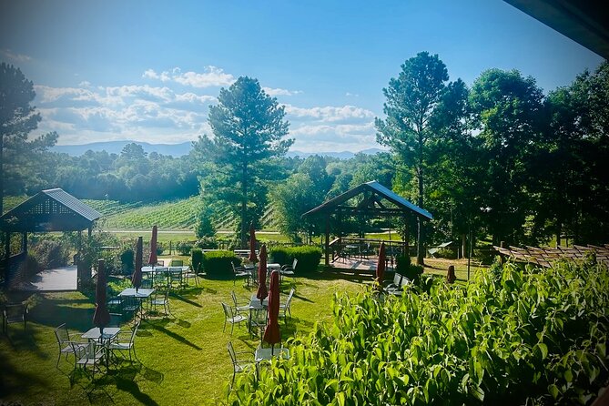 Three Vineyards Half Day Private Wine Tour From Asheville - Who Should Consider This Tour?