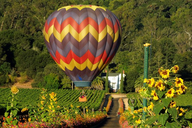 Thrilling Napa Balloon Ride: No change after 5pm the day prior to balloon tour - The Experience: An In-Depth Look