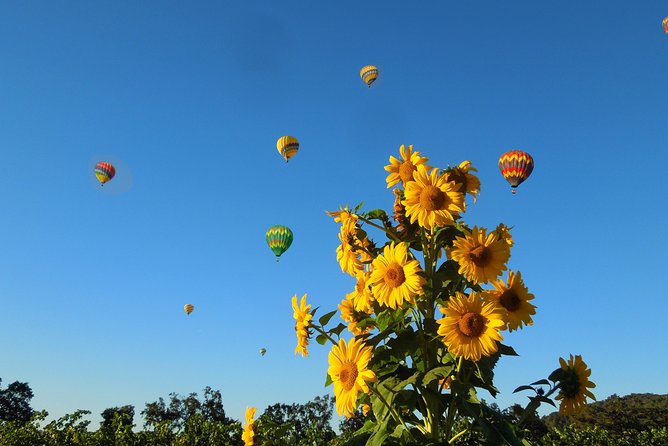 Thrilling Napa Balloon Ride: No change after 5pm the day prior to balloon tour - What Sets This Tour Apart?