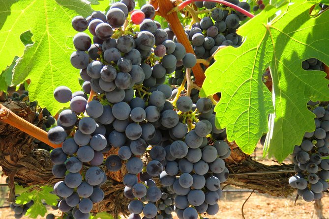 Thrilling Napa Balloon Ride: No change after 5pm the day prior to balloon tour - FAQ