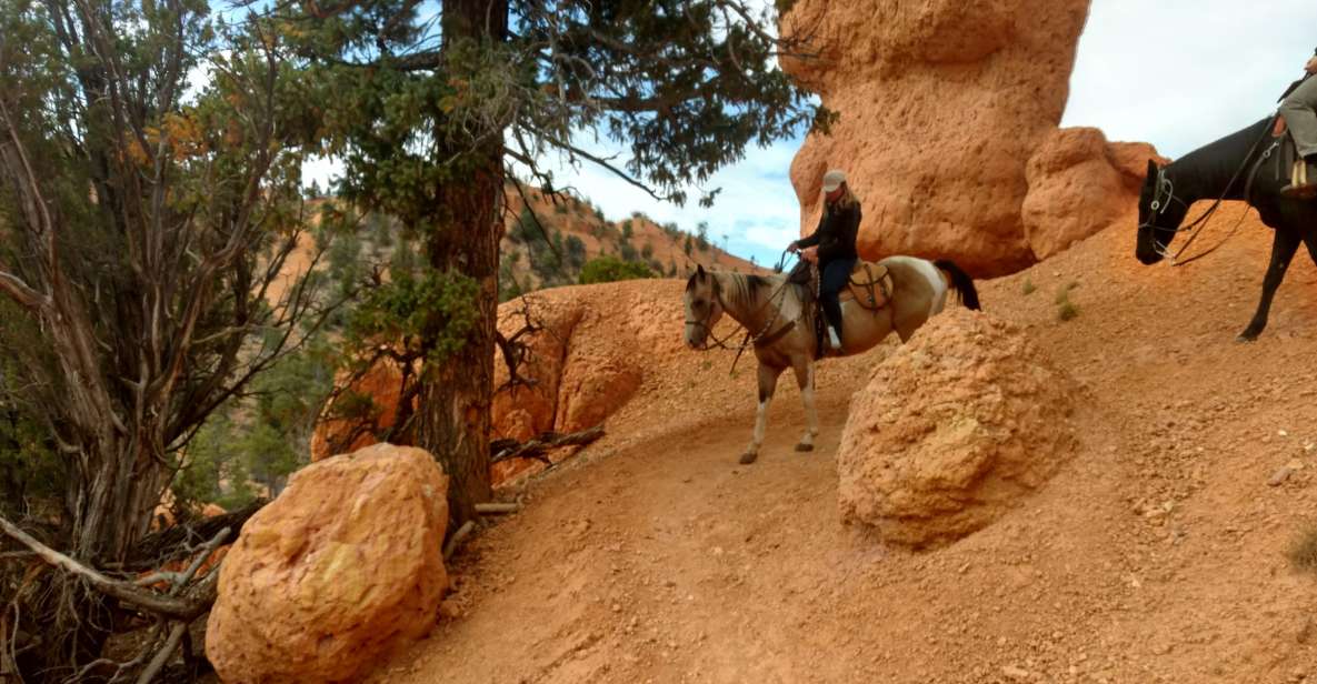 Thunder Mountain Trail: Scenic Horseback Ride - Exploring the Ride: What to Expect