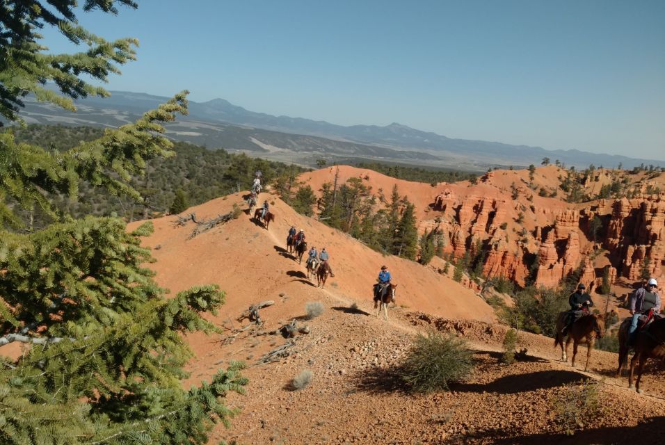 Thunder Mountain Trail: Scenic Horseback Ride - The Practical Details