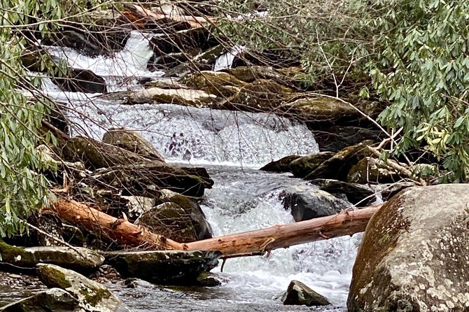 Thundering Streams and Falls of the Smokies Guided Hiking Tour - Detailed Look at the Experience
