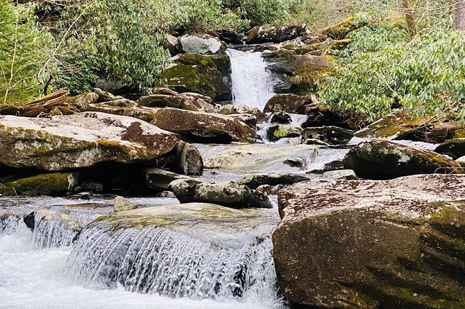 Thundering Streams and Falls of the Smokies Guided Hiking Tour - Who Is This Tour Best For?