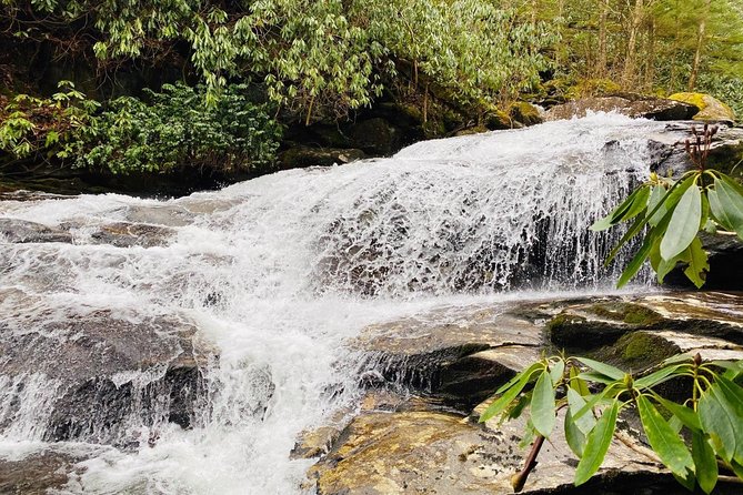 Thundering Streams and Falls of the Smokies Guided Hiking Tour - FAQ