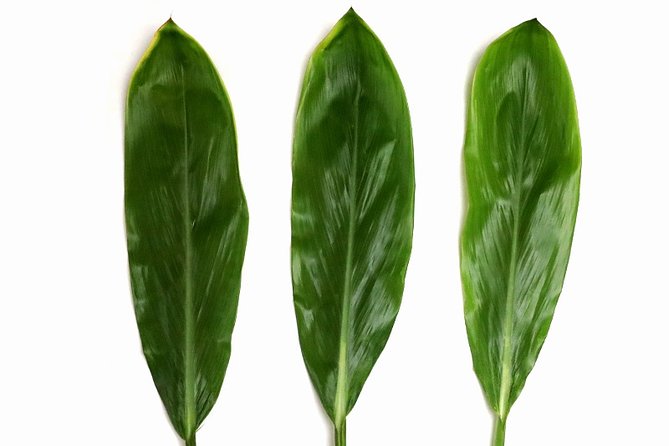 Ti Leaf Airport Lei Greeting (Maui, Kahului Airport, OGG) - FAQ