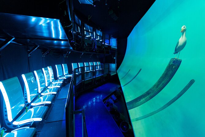 Ticket Pass to the Flyer 7D Ride and Laser Maze in Pier 39 - FAQs