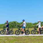 Tierra Verde: Fort De Soto Beach Guided E-Bike Nature Tour - Value for Money & Practical Details