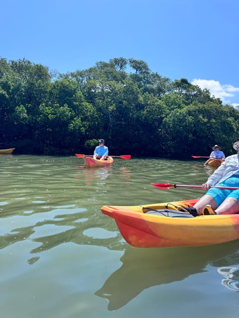 Tierra Verde: Shell Key Mangrove Private Guided 1.5 hr Tour - Why This Tour Works
