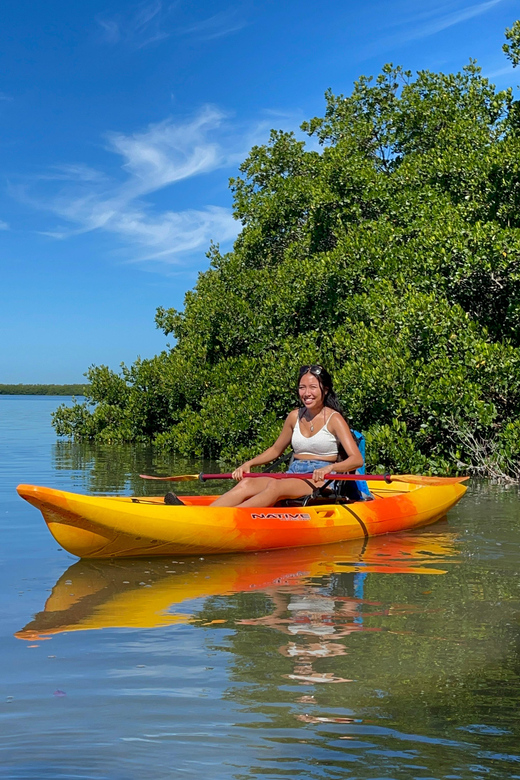 Tierra Verde: Shell Key Mangrove Private Guided 1.5 hr Tour - Who Should Consider This Tour?