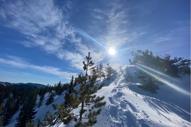 Tom Dick and Harry Snowshoe Hike - An Authentic Winter Journey in Mount Hoods Wilderness