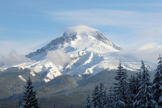 Tom Dick and Harry Snowshoe Hike - Deep Dive into the Experience